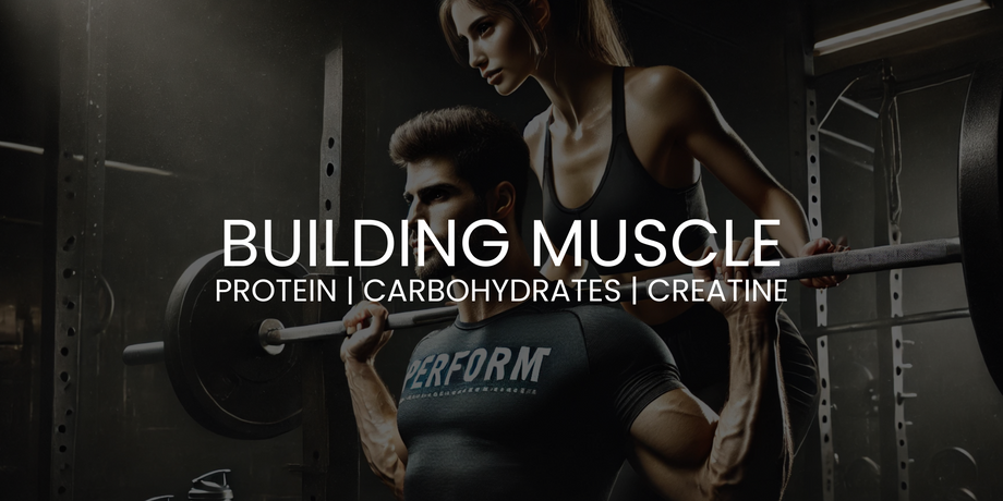 The Best Supplements for Building Muscle – Organic Performance